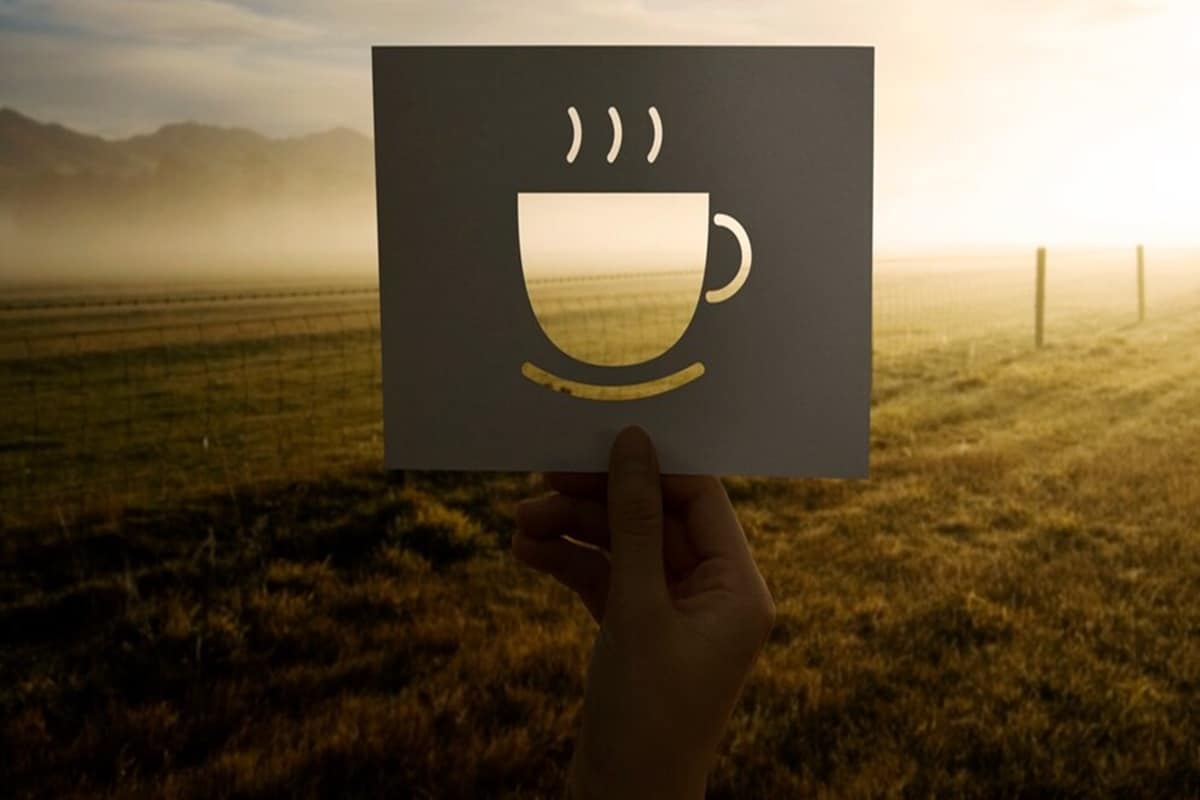 O Café do Acre Está Revolucionando o Mercado – Será o Novo Fenômeno dos ...